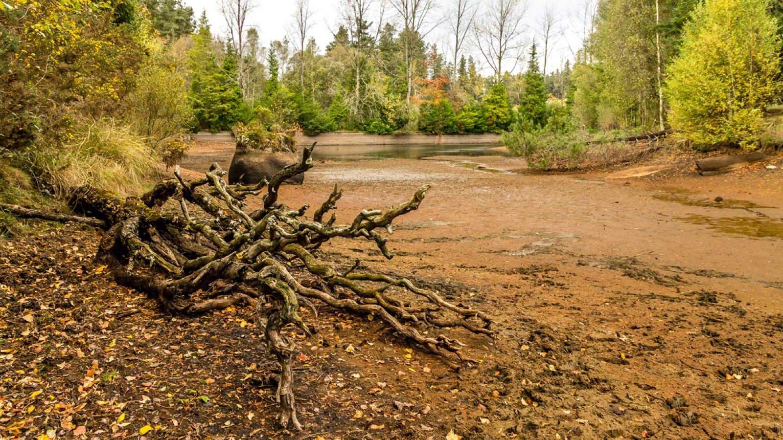 Los veranos más secos en 3 siglos en España | RTVE.es