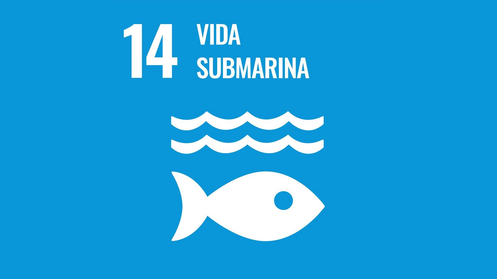 ODS14 - Ecosistemas marinos - Objetivos de Desarrollo Sostenible