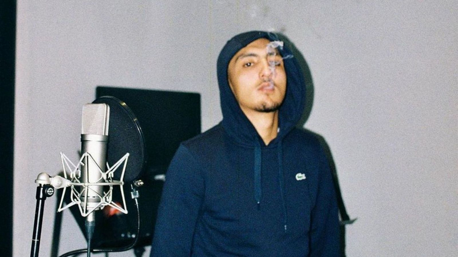 ¿Son los MDLRs los nuevos canis?