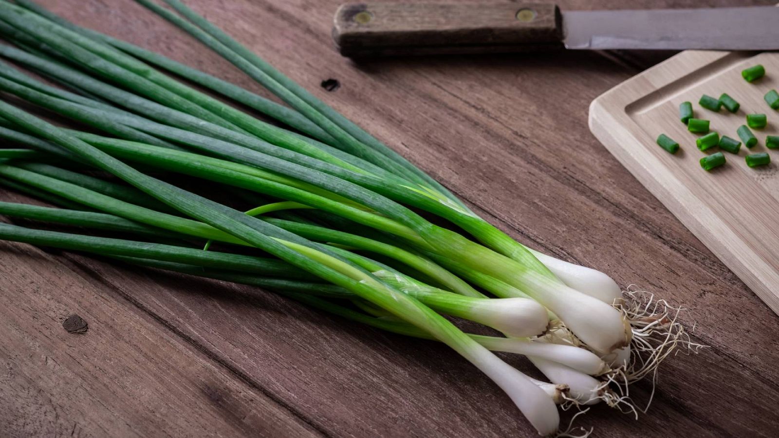 Tipos De Cola De Cebollas Verdes