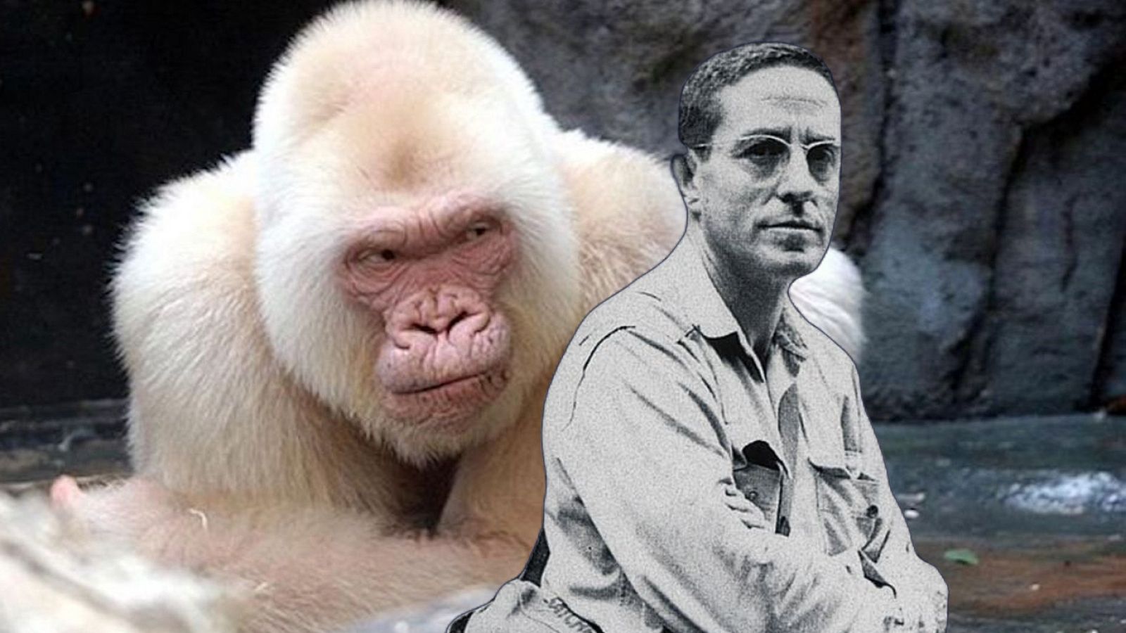 Copito de nieve dio fama a Sabater Pi, pero le arruinó la vida