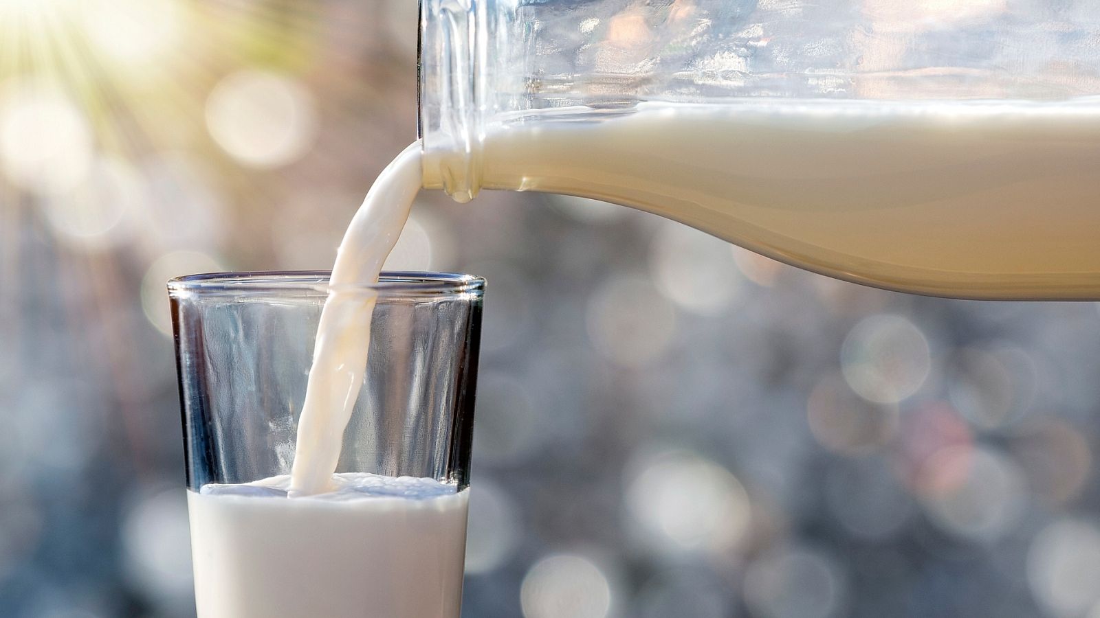 Lo que quizá no sabías de la leche que consumes
