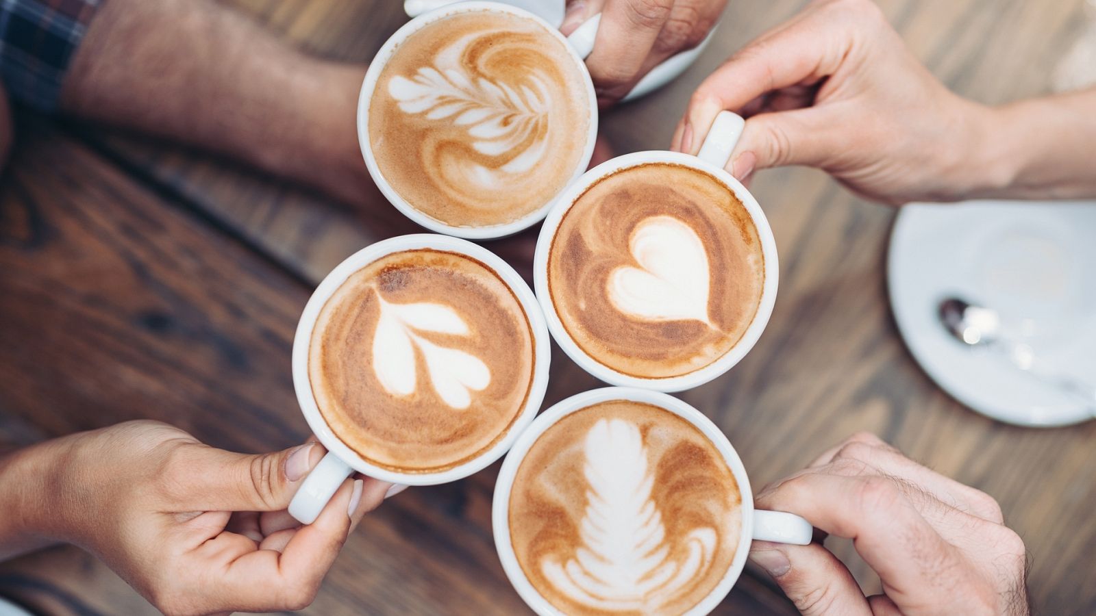 Todo sobre el café: tipos, "descafeinados" y formas de beberlo