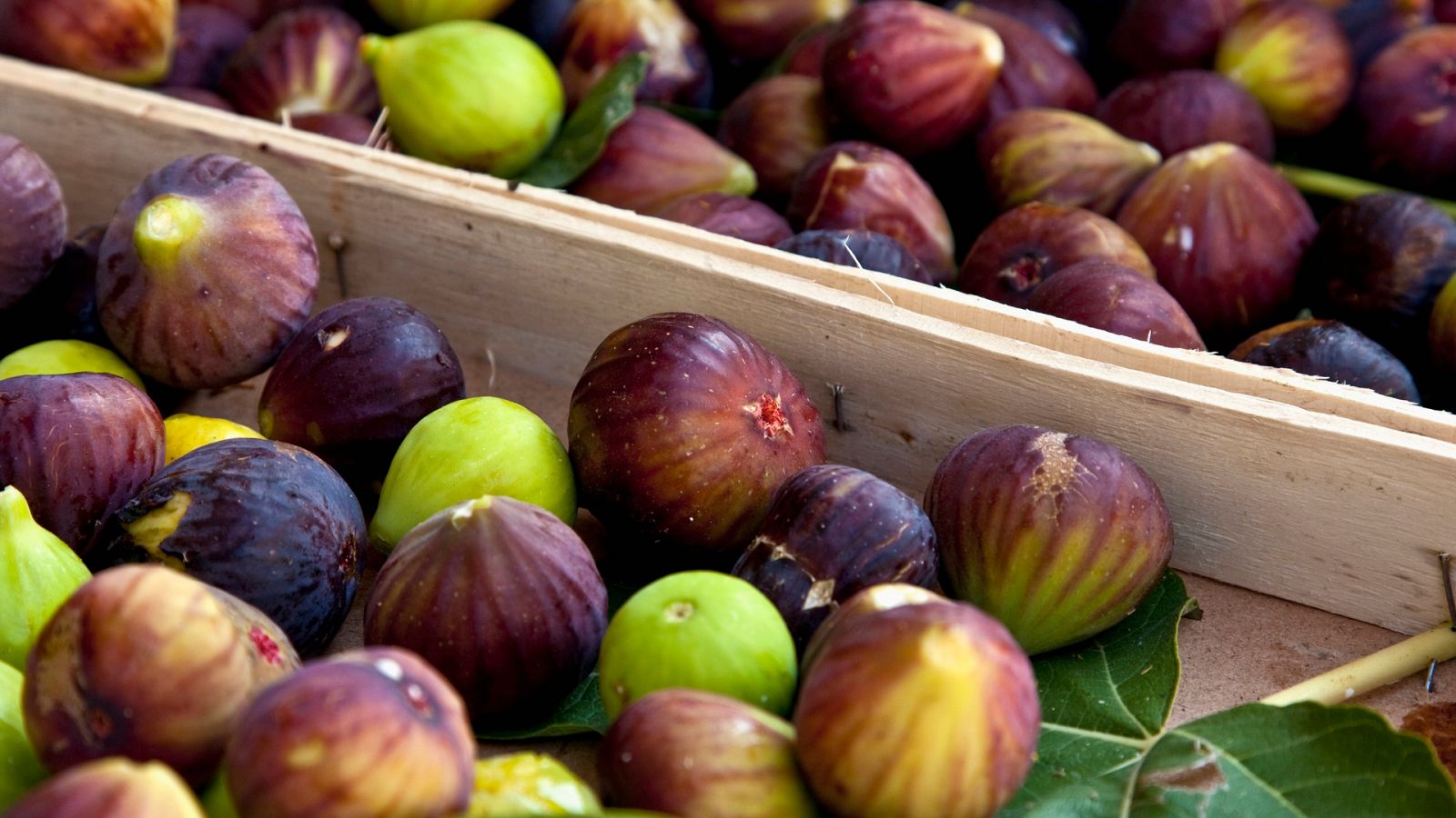 Higos: curiosidades y receta para elaborar un rico bizcocho