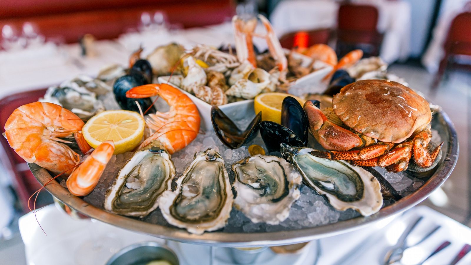 ¿Cómo cocinar marisco? Guía para que quede perfecto