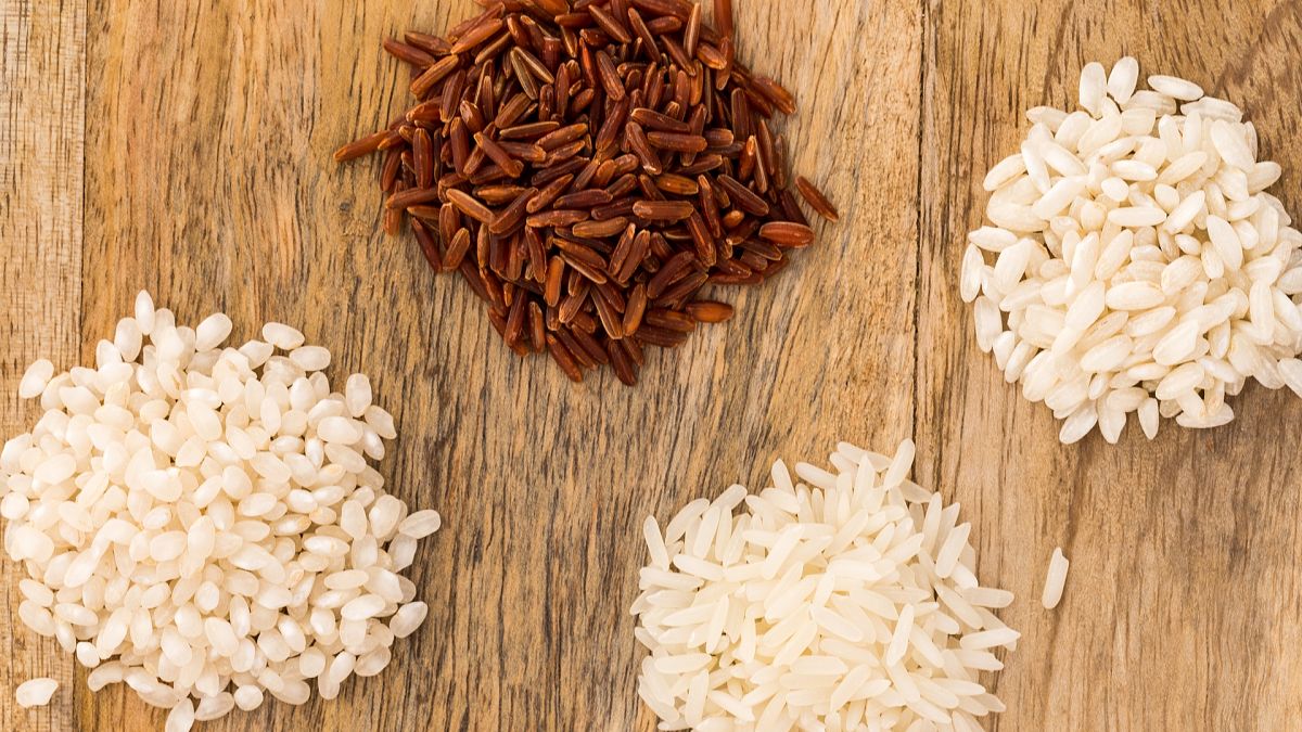 Fondos De Pantalla De Alta Definición De Arroz 2.328.400+ Fondos De