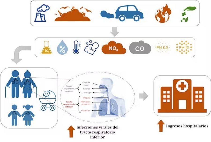 ¿Cómo la contaminación atmosférica agrava las bronquiolitis?