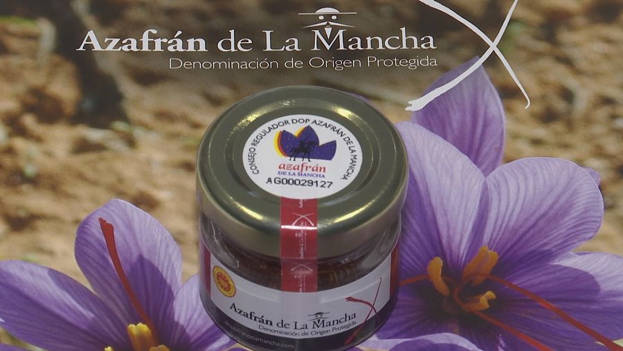 El azafrán español, en peligro de extinción