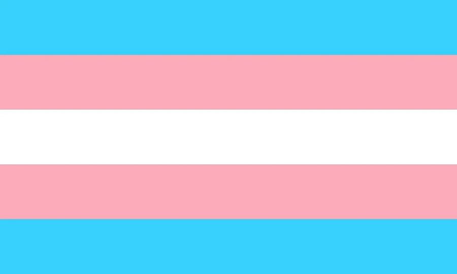 ¿Qué significan los colores de la bandera trans?