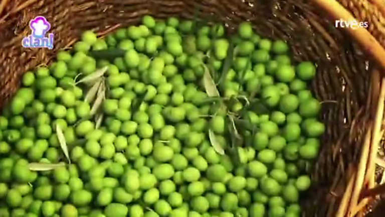 ¡A varear aceitunas!