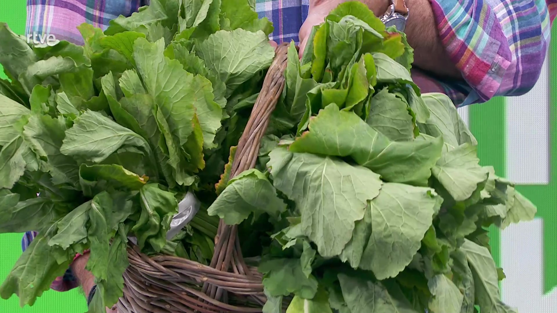 ¿Nabizas, nabos o grelos? esa es la cuestión