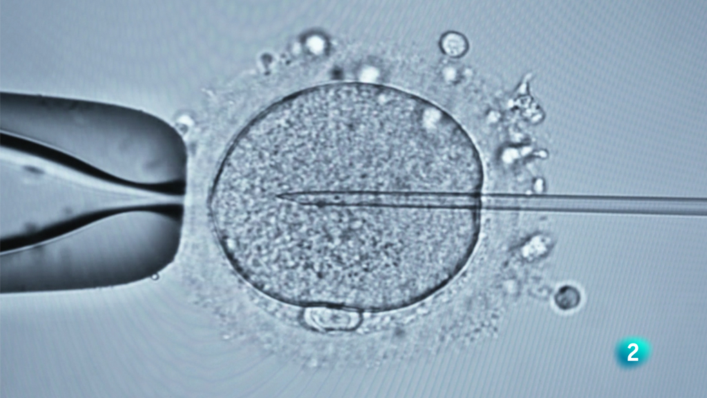 La Ciencia de la Salud - Fecundación in vitro