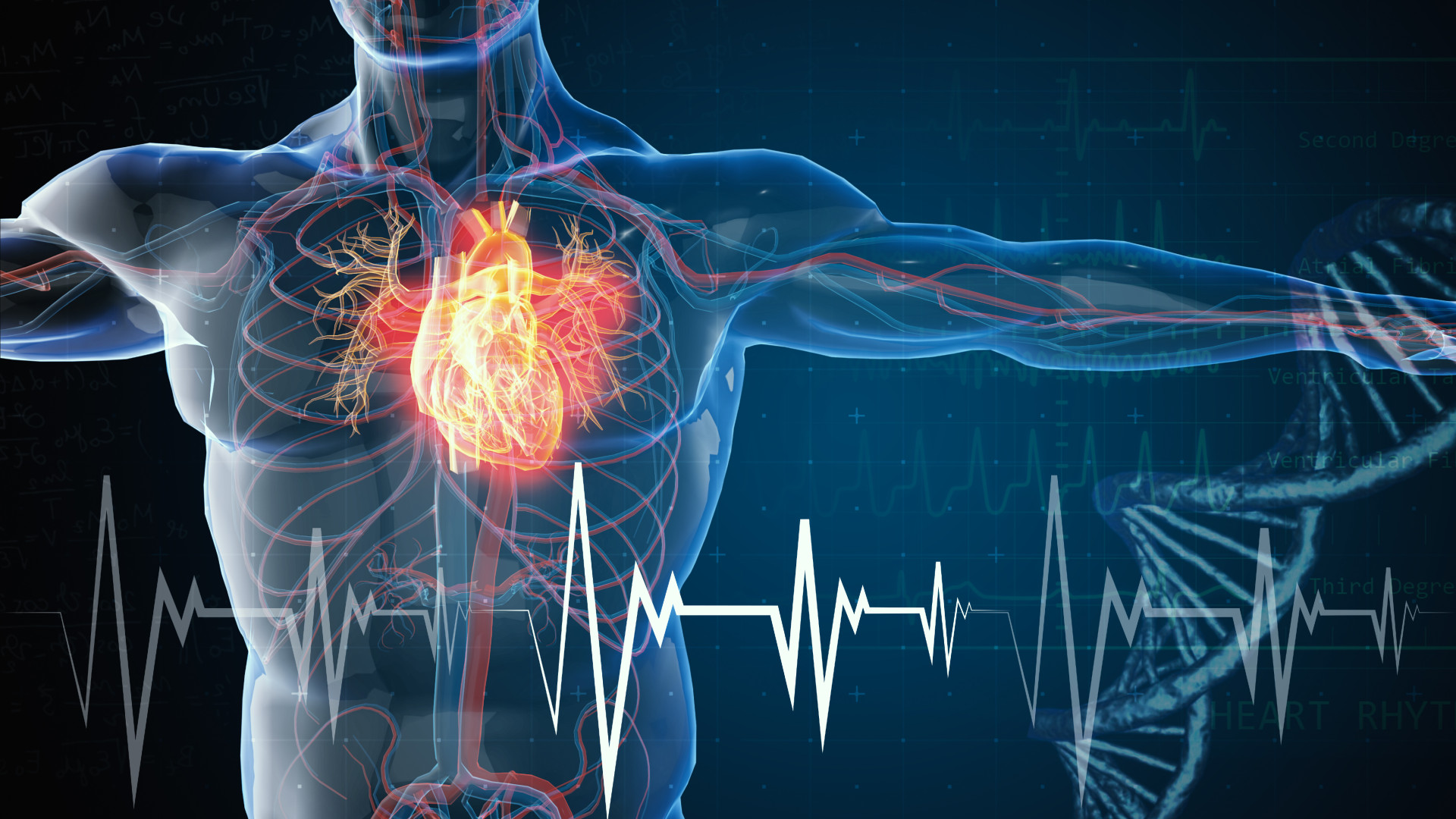 Patologías del corazón: Entrevista al cardiólogo Jesús Almendral