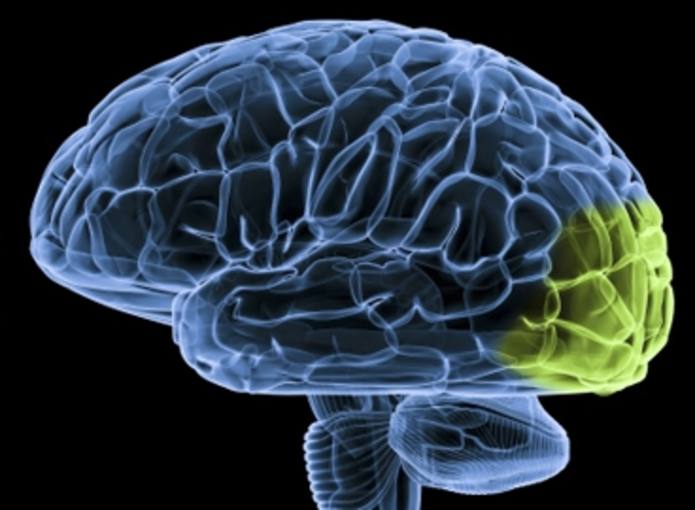 EL PORQUÉ DE LA CIENCIA | ¿Por qué se produce la esquizofrenia? - RTVE.es