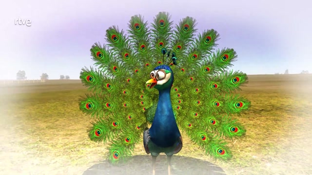 La granja de Zenón - El pavo y la pava