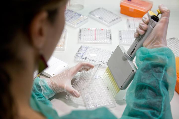 Diseñan un método de autopsia no invasiva y barata para países en vías ...