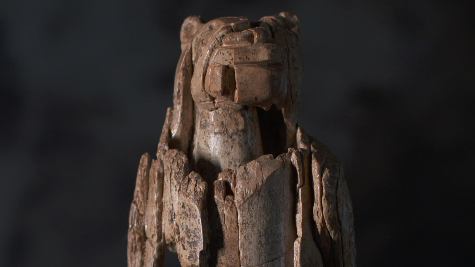 El hombre león