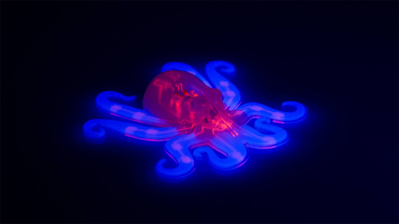 Octobot, el primer robot blando totalmente autónomo | RTVE.es