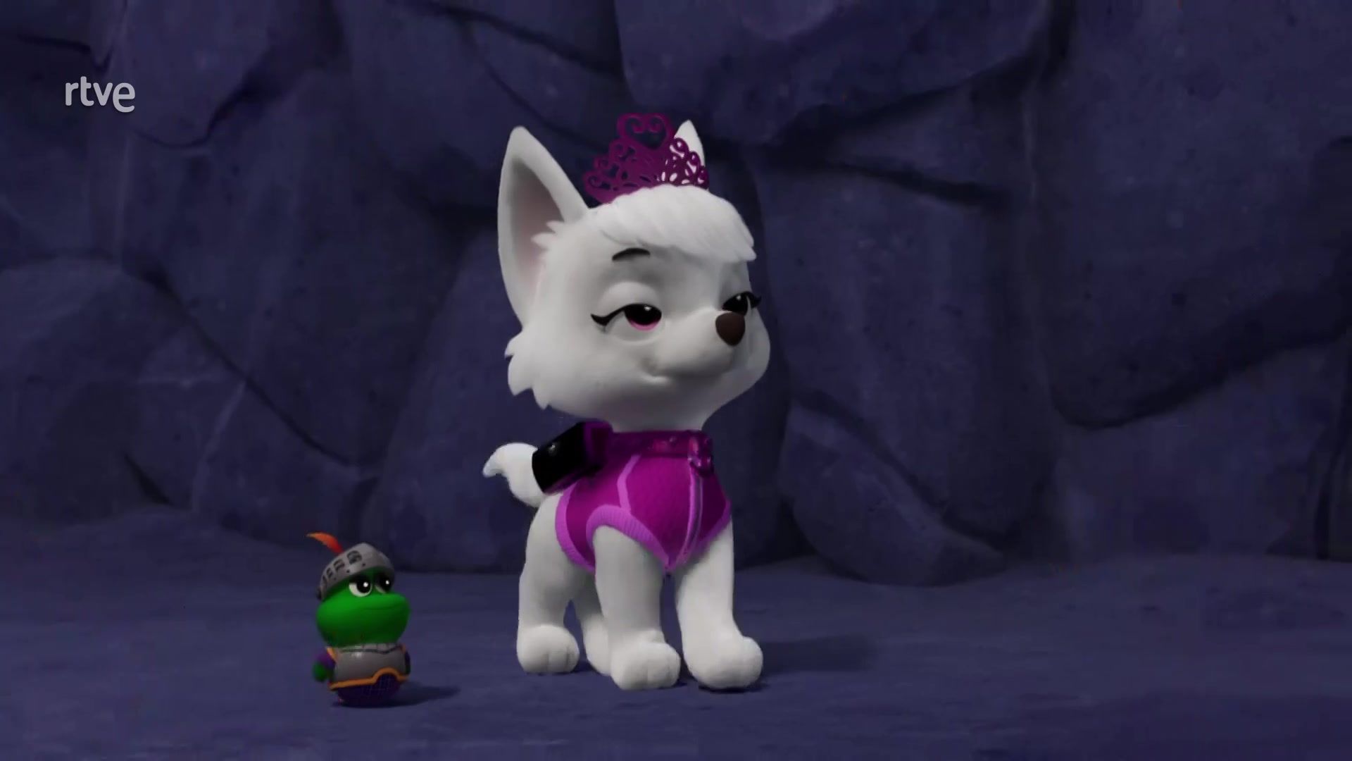 Pups Save the Missing Bone-Stone