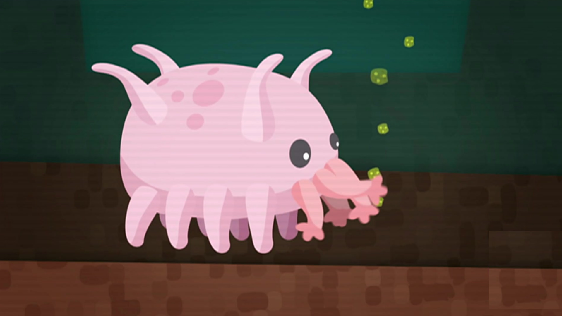 The sea pigs