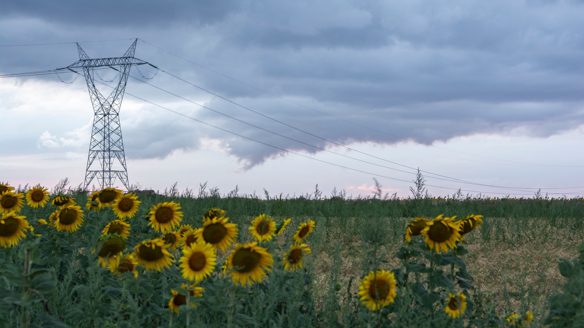La luz baja este domingo por tercer día consecutivo hasta 146,57 euros/MWh