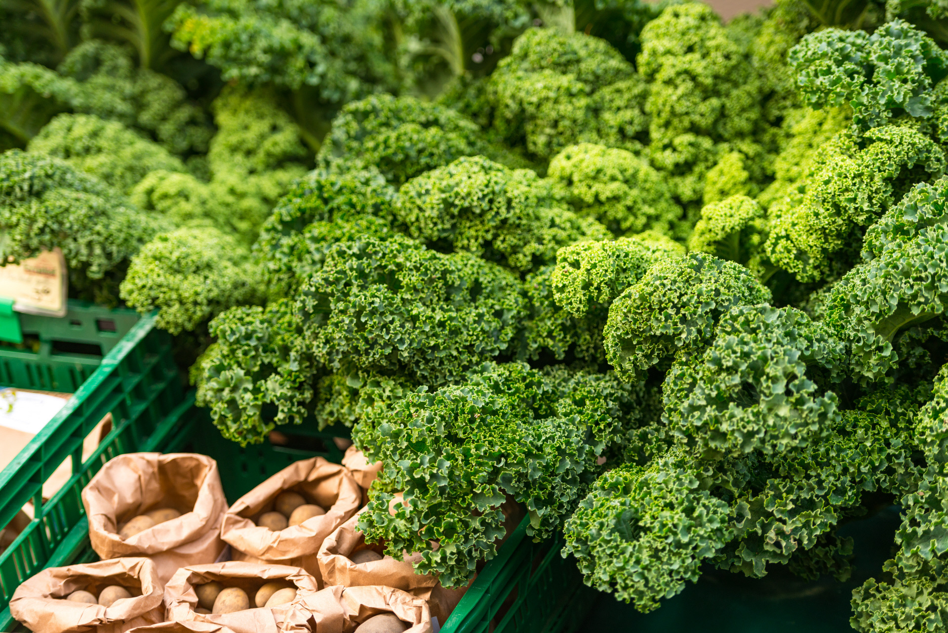 Verduras Y Nombres Inusuales Descubre Las Verduras Más Exóticas Y