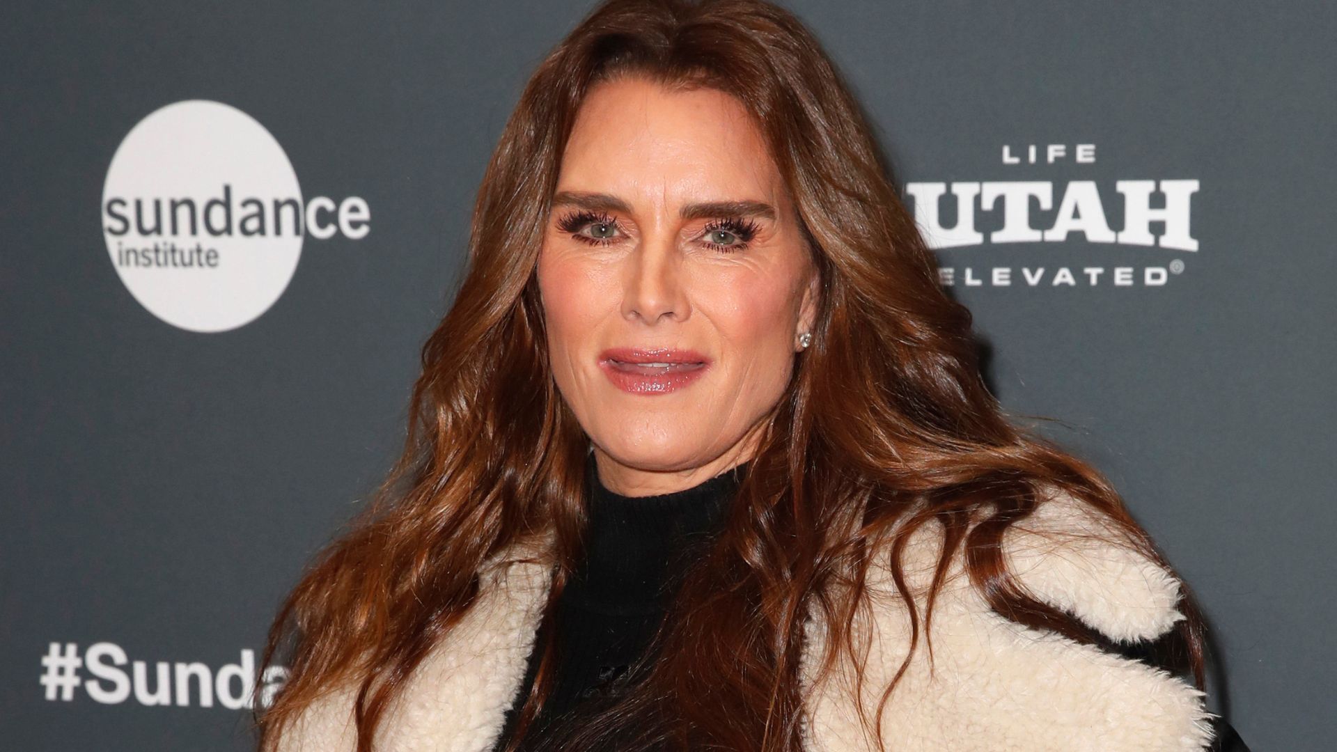 El Cabello De La Joven Brooke Shields
