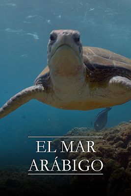 El mar Arábigo - Programa de ciencia y futuro en RTVE Play