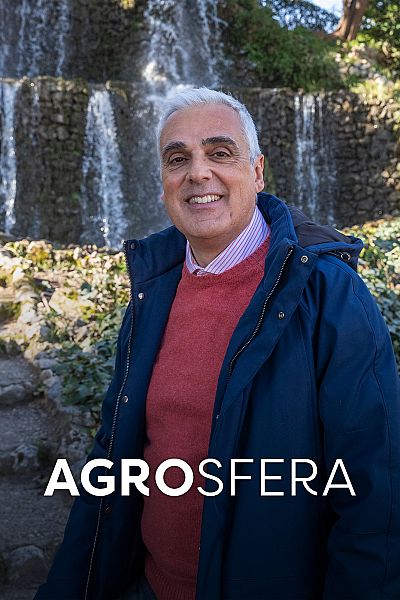 La 2: Series, cine y programas de televisión online en RTVE Play