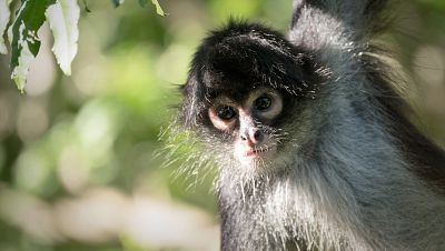 Programación TV dentro de 3 días en TVE: La 1, La 2 y Teledeporte