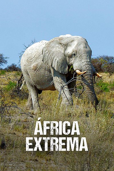 Documentales online - Los mejores documentales en RTVE.es