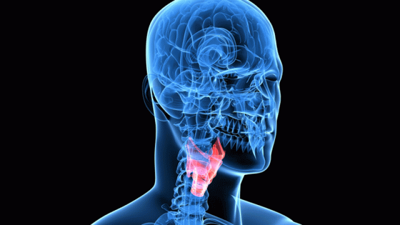 La mañana: Problemas de tiroides | RTVE Play