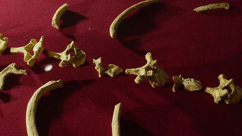 El yacimiento de Malapa - Arqueomanía