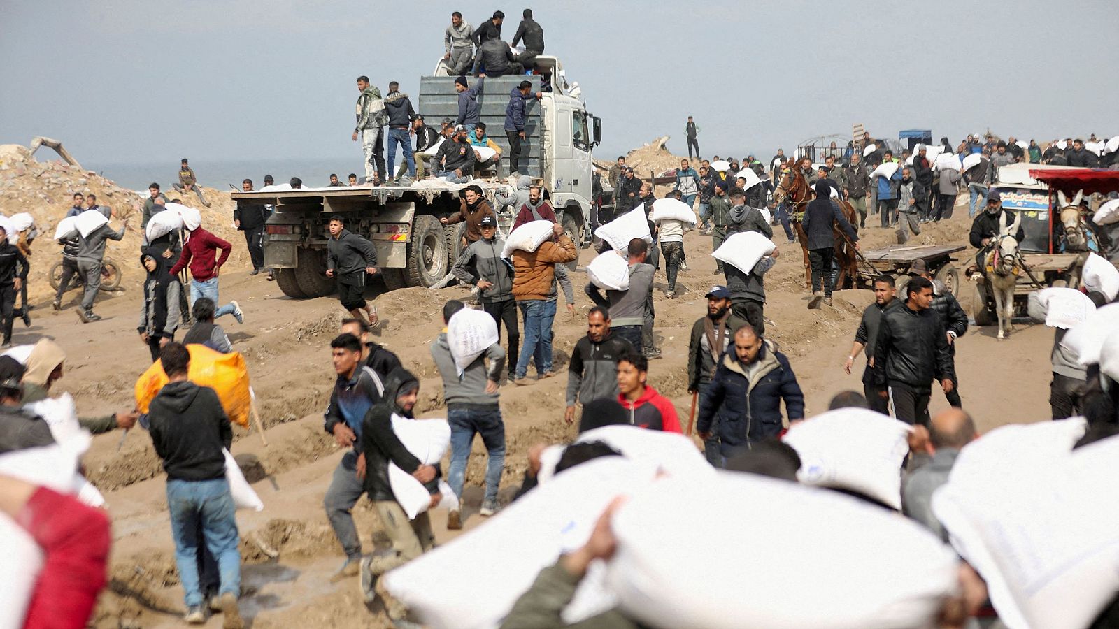 Gaza Una Cuarta Parte De La Población Al Borde De La Hambruna