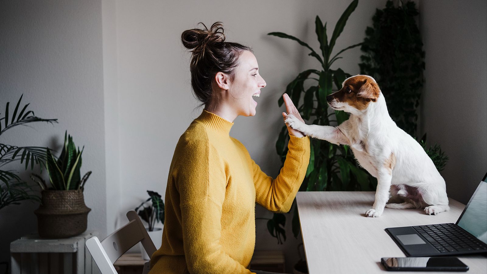 Las mascotas: un miembro más en las familias españolas