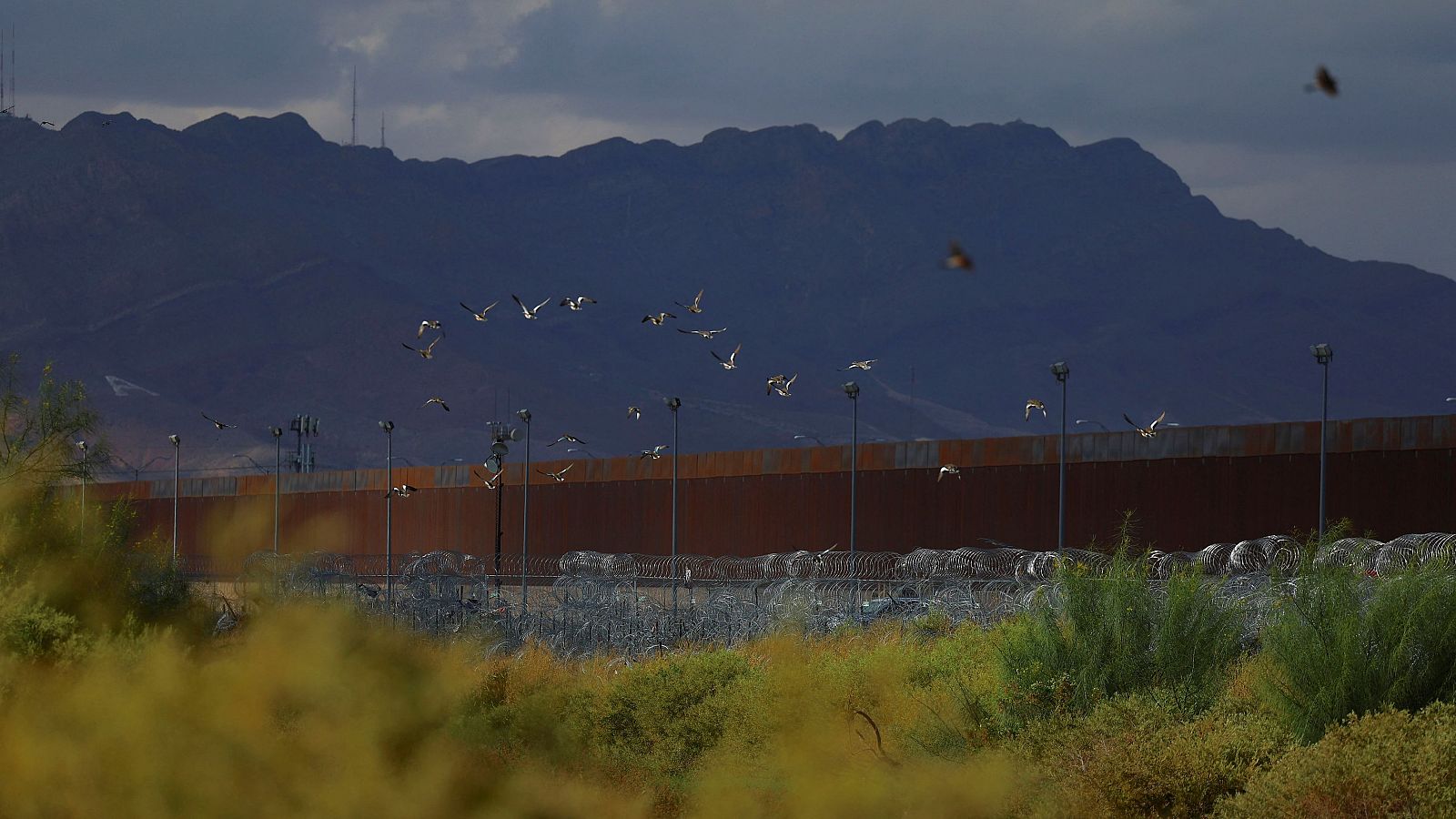 Laboratorios de fentanilo mexicanos en la frontera con EE. UU.