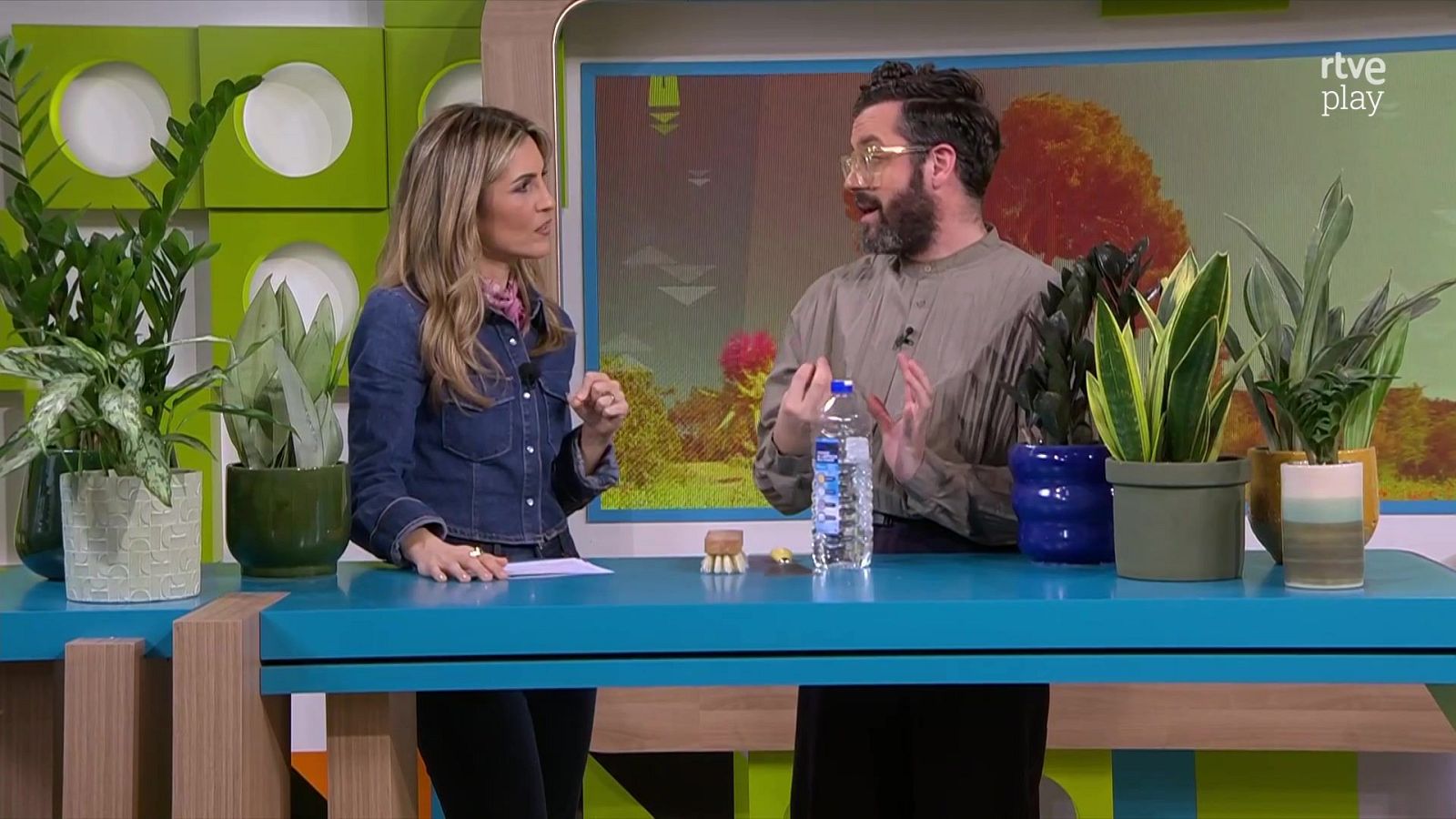 Aquestes són les 5 plantes que sobreviuen amb poca llum