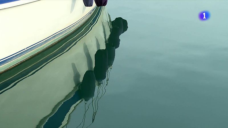 Telediario Fin de Semana - Programa informativo en RTVE Play