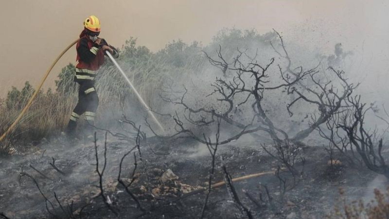 "El fuego no ha pasado al parque natural de la Font Roja"