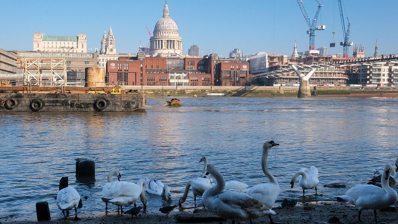 El Támesis se convierte en un río enfermo por la contaminación