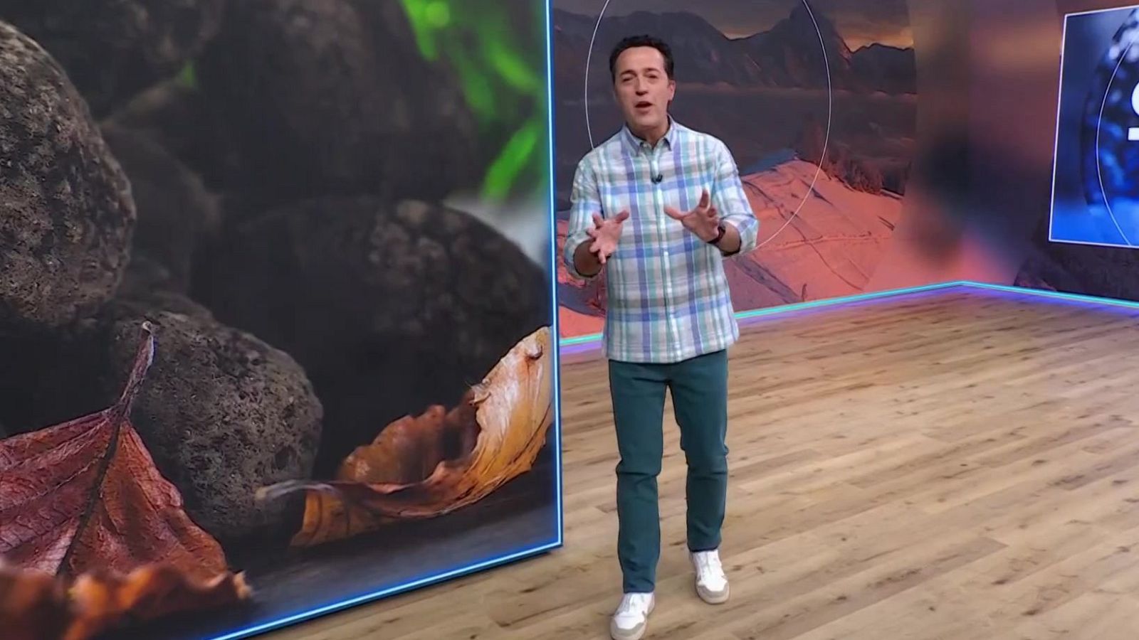 Tòfona, plantes medicinals i bombons - Aquí la Terra