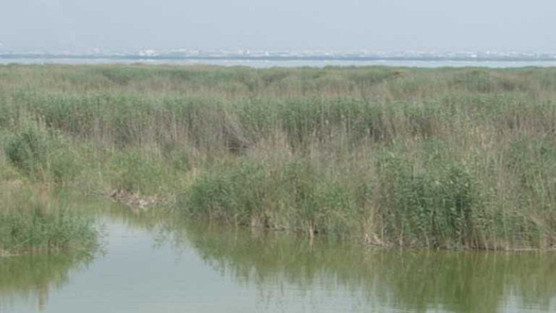 El tiempo: Temperaturas en ligero o moderado ascenso en gran parte de ...