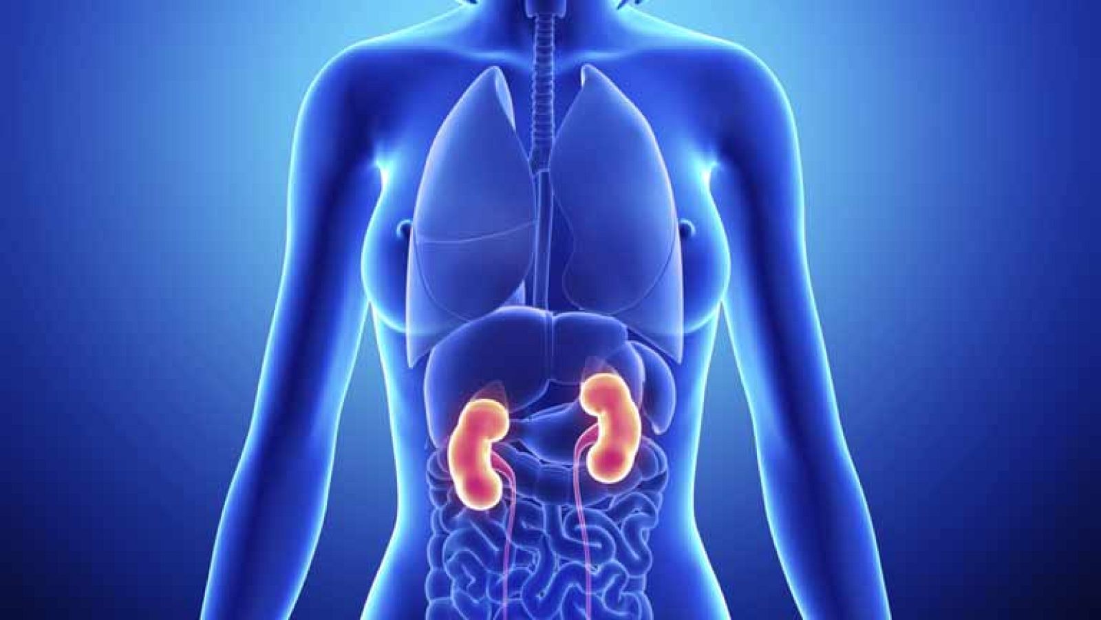 Saber vivir - Dale buena salud a tus riñones - RTVE.es