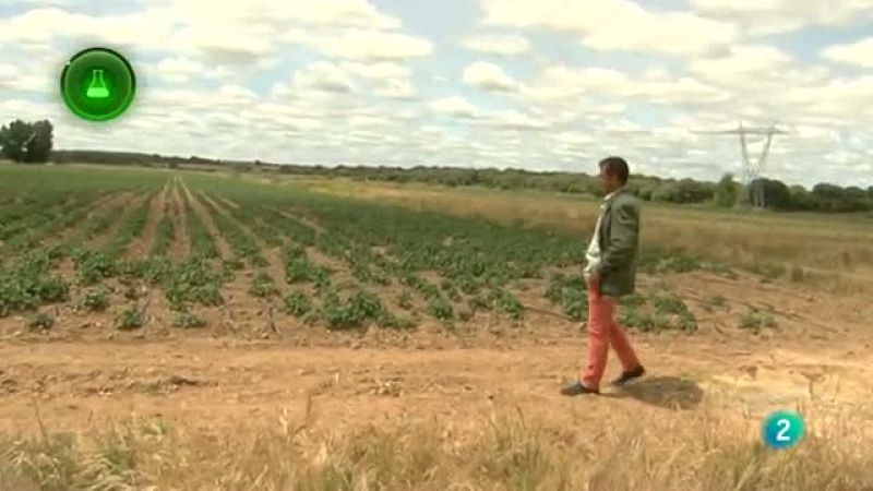 Agrosfera: Riego | RTVE Play