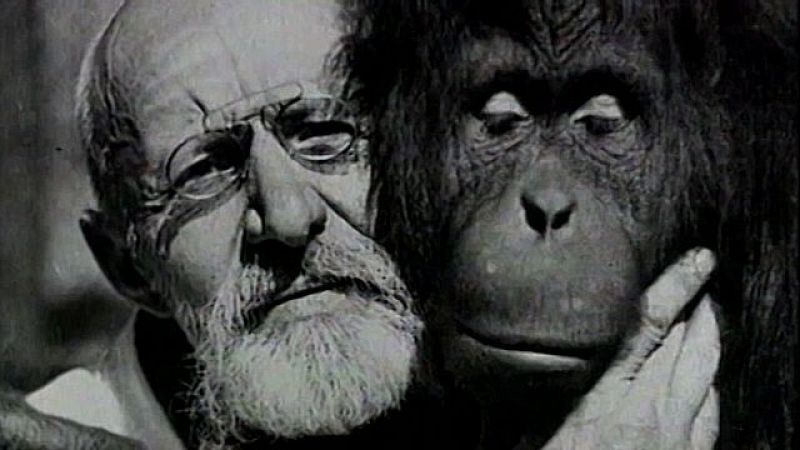 UNED: Ignace Meyerson | RTVE Play