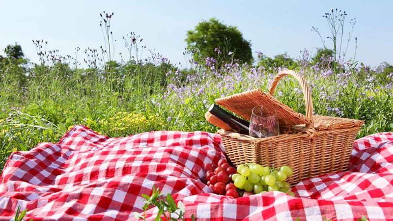 La mañana - Los consejos de Maxi: Ideas de picnic