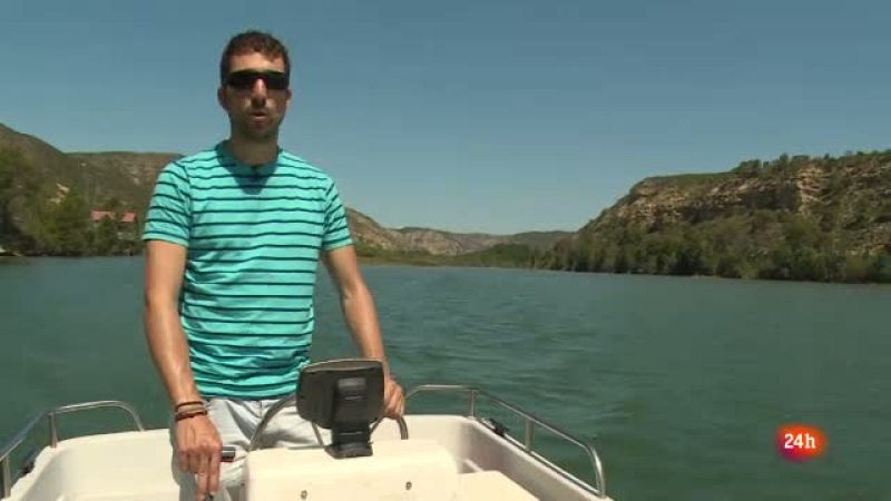 Repor - Invasión animal - Alberto Blasco