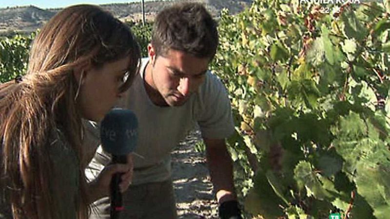 España Directo - 29/10/15