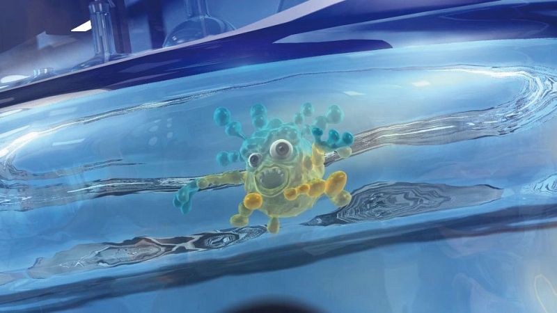 Sin programa: Festering Foodies | RTVE Play