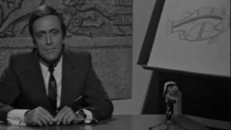 El planeta azul - Los bindibu